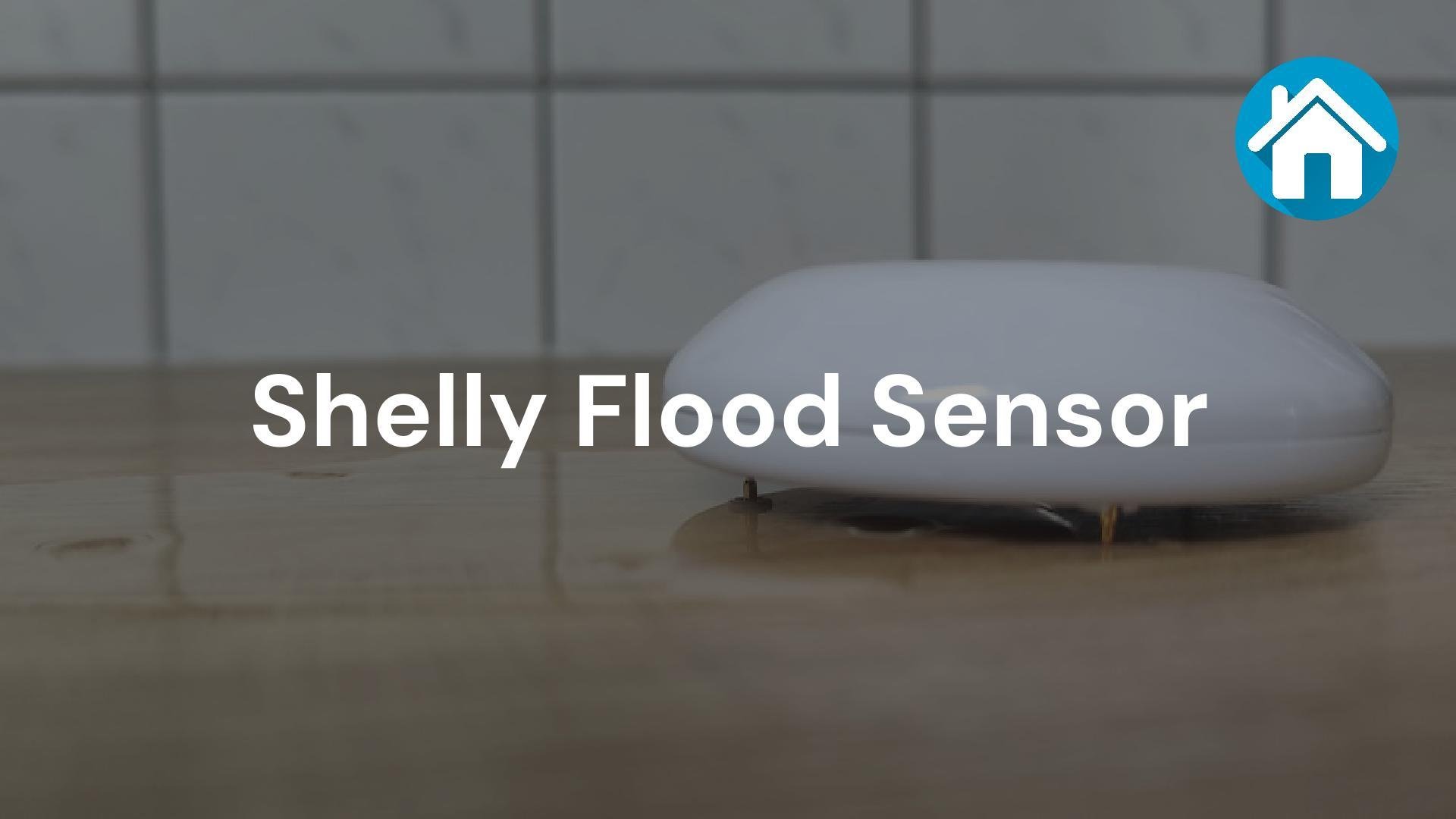 Shelly Flood Sensor | Smarthome Blogger